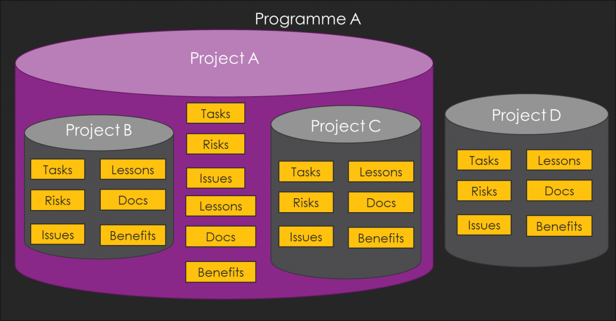 Programme vs Parent Project – Which to Use for My Portfolio?